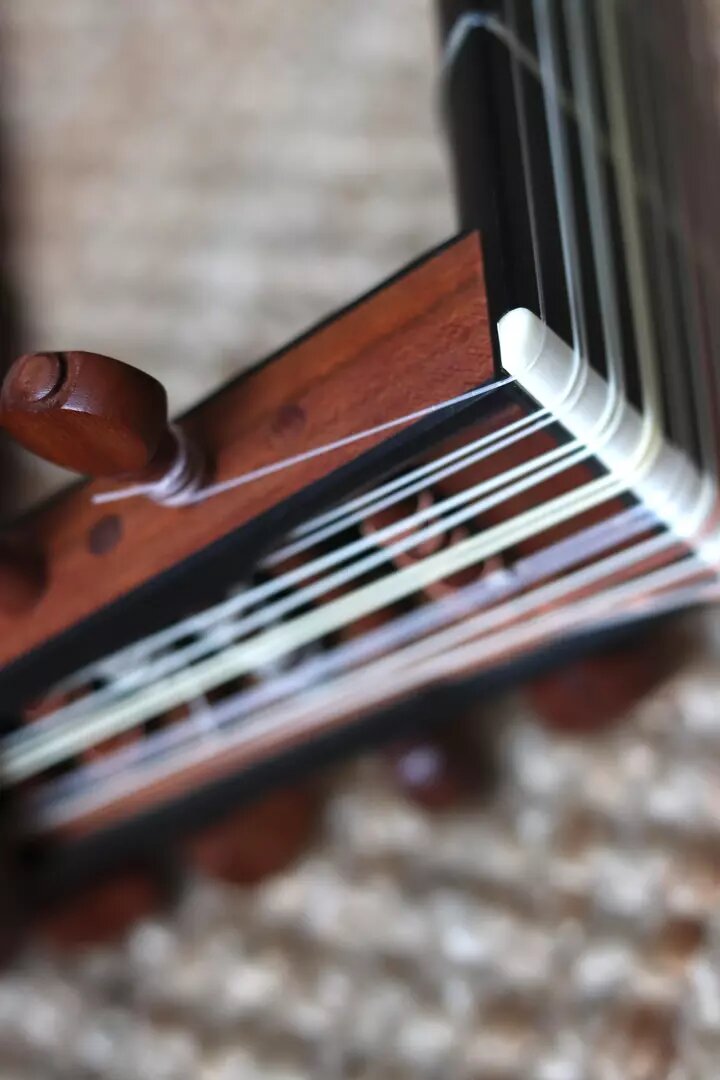 Lute Tutor